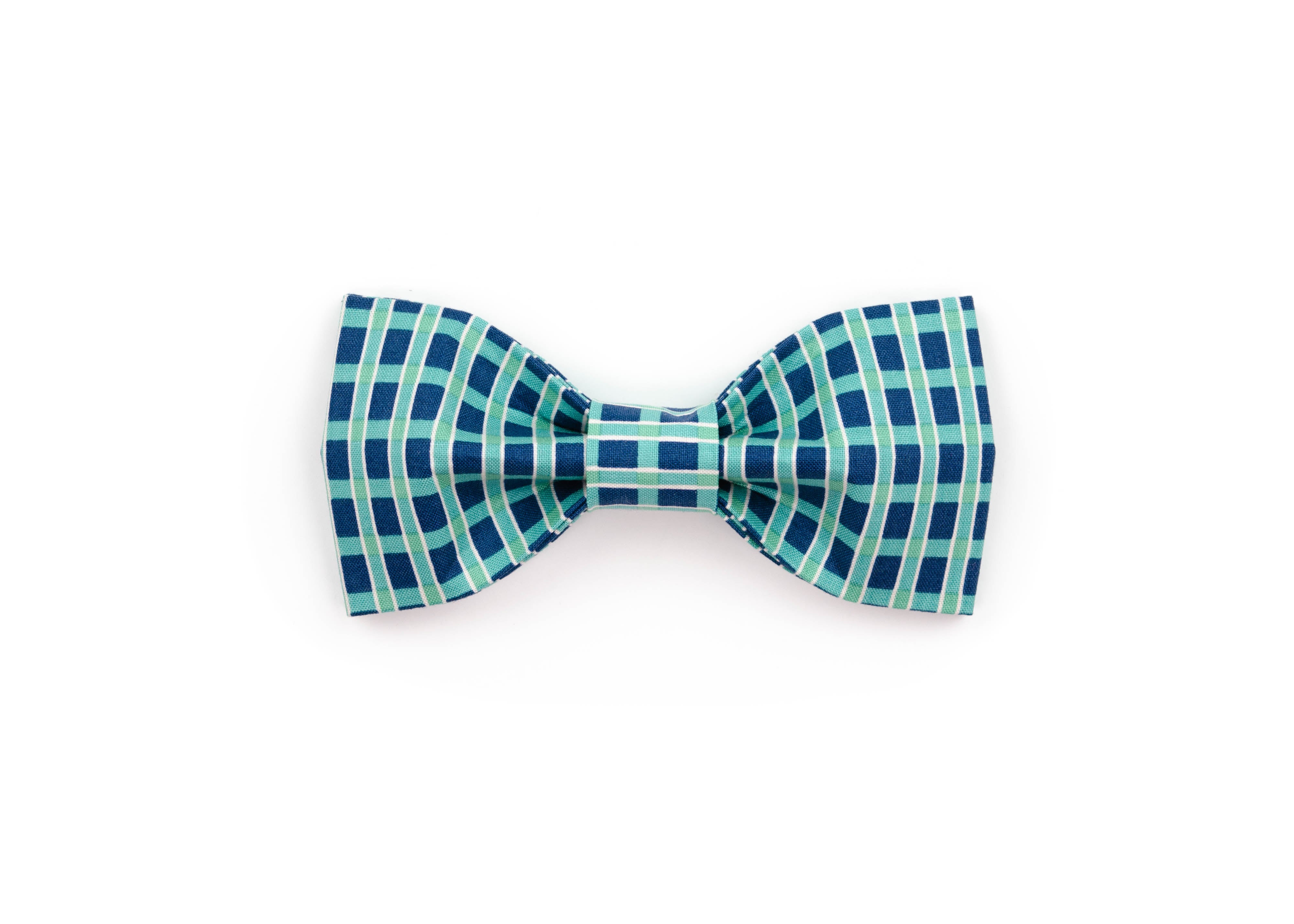 The Harvey Dog Collar Bowtie – PuddleJumperPups