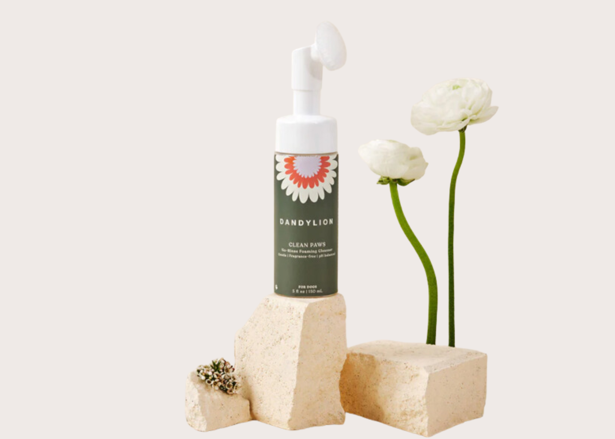 Puddle Jumper Pups | A Boutique For Dogs And Their People ...