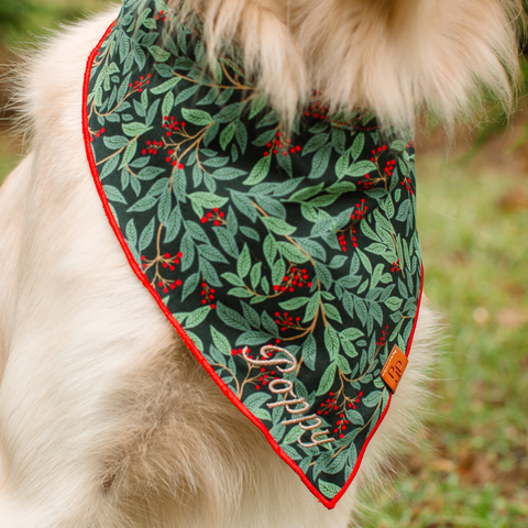 PJP's Newest – PuddleJumperPups