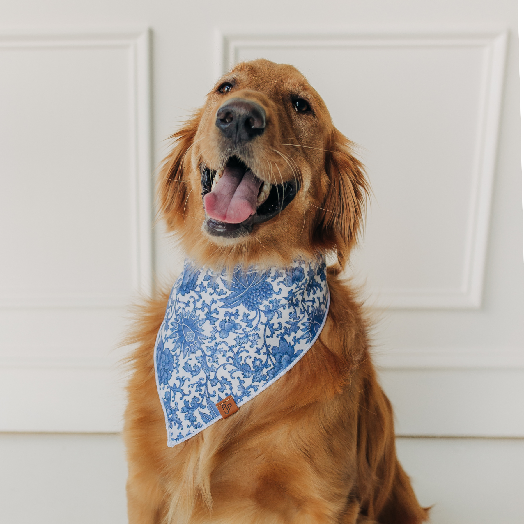 Puddle Jumper Pups | A Boutique For Dogs And Their People ...