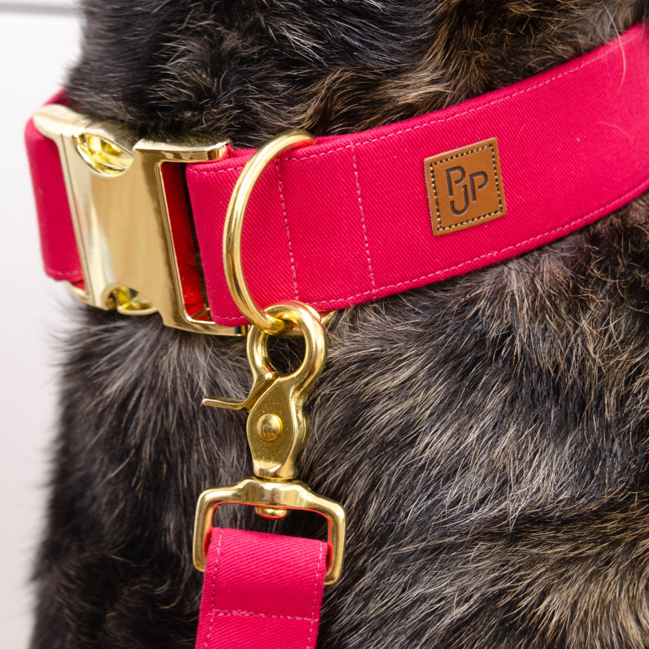 Puddle Jumper Pups | A Boutique For Dogs And Their People ...