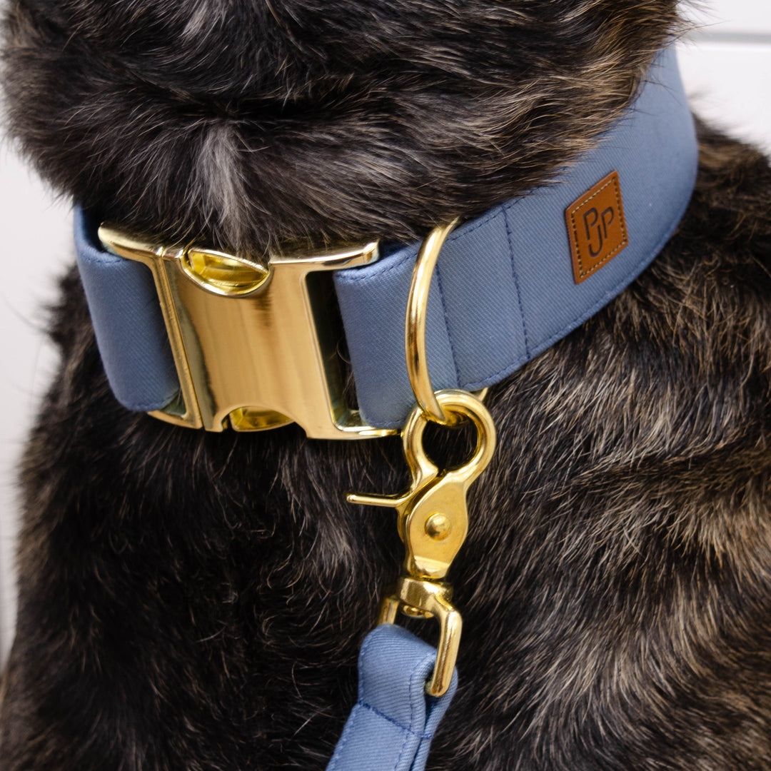 Puddle Jumper Pups | A Boutique For Dogs And Their People ...