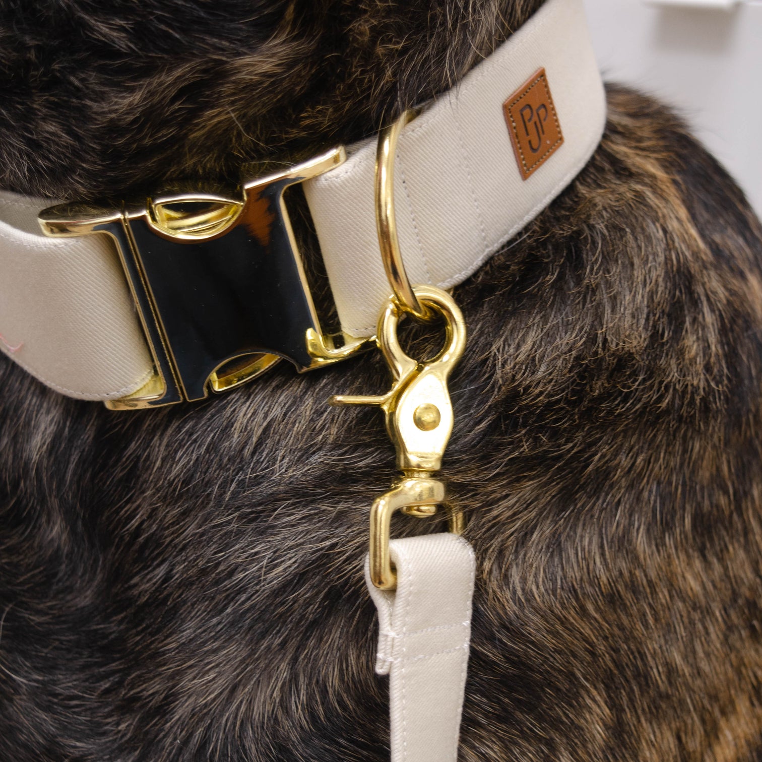 Puddle Jumper Pups | A Boutique For Dogs And Their People ...