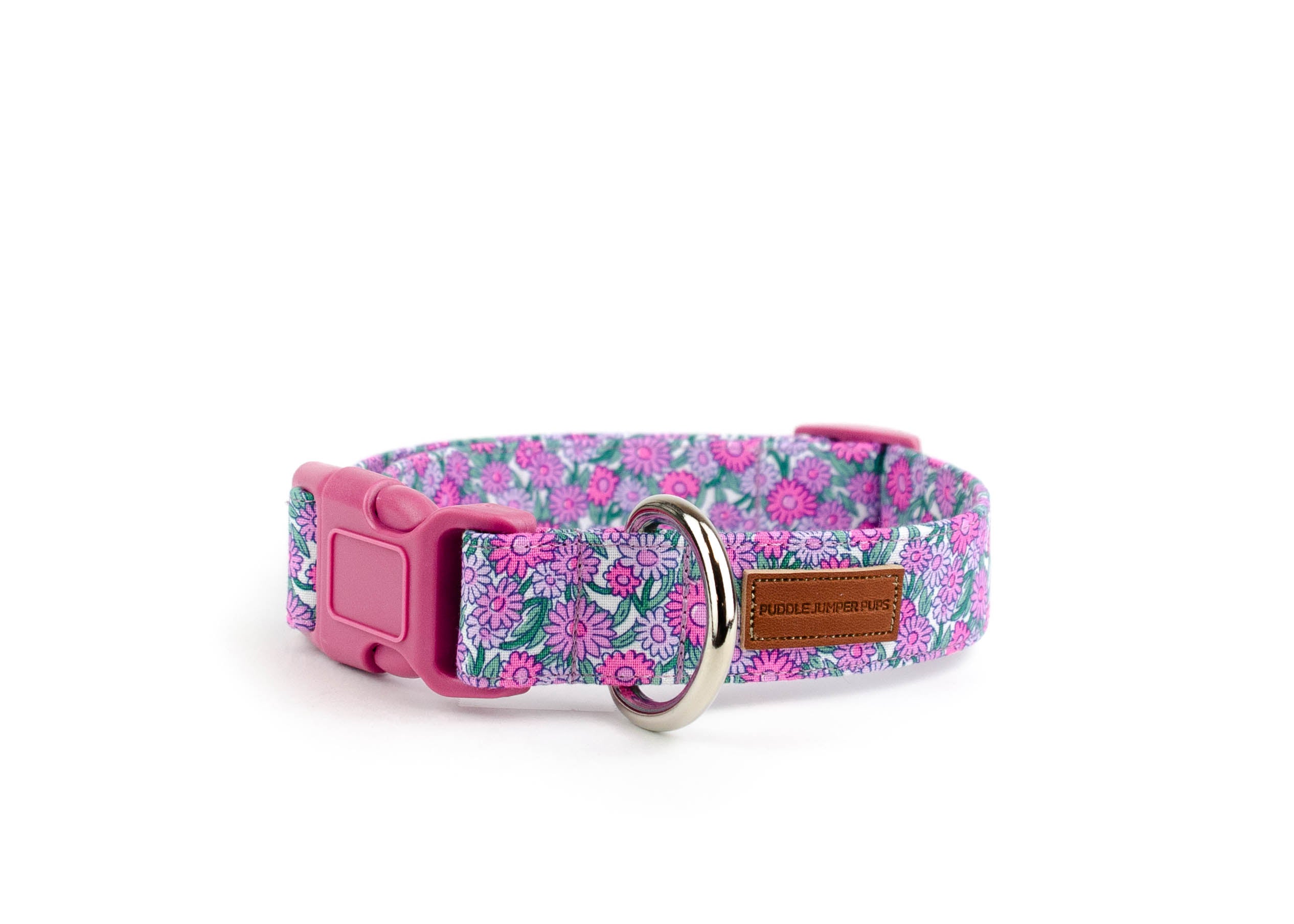 The Abby Dog Collar – PuddleJumperPups