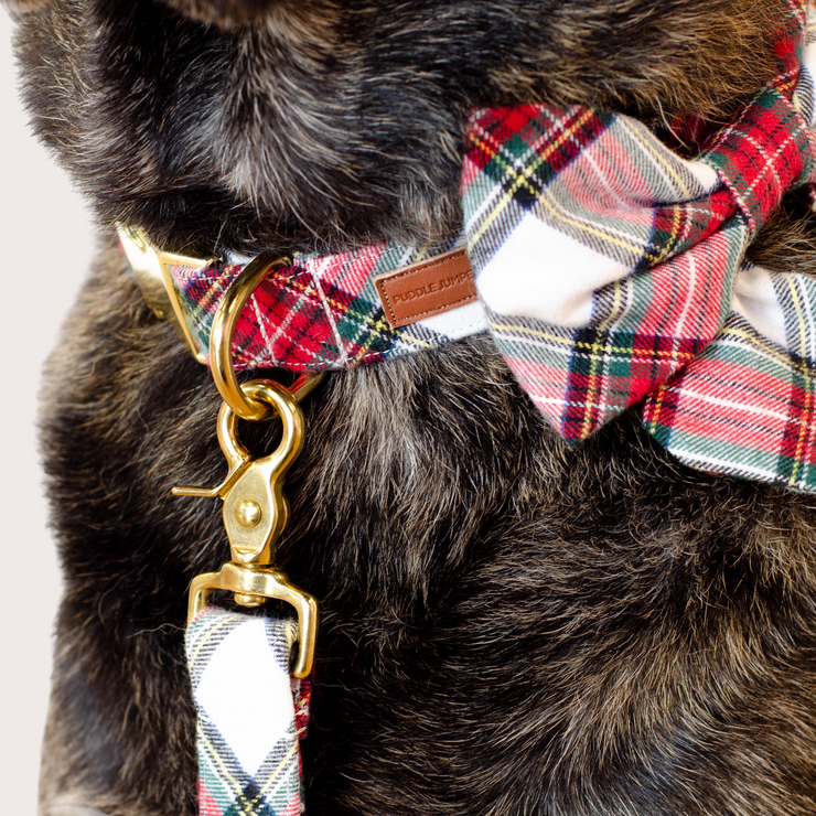 Puddle Jumper Pups | A Boutique For Dogs And Their People ...