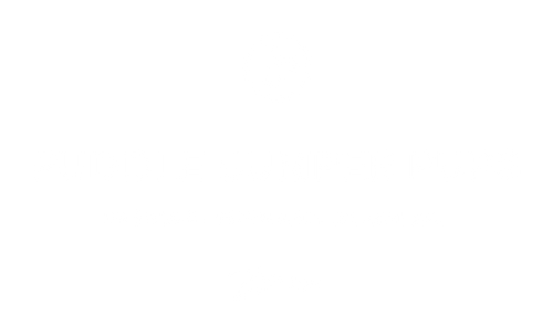 Puddle Jumper Pups Fashion Forward Custom Dogwear – PuddleJumperPups